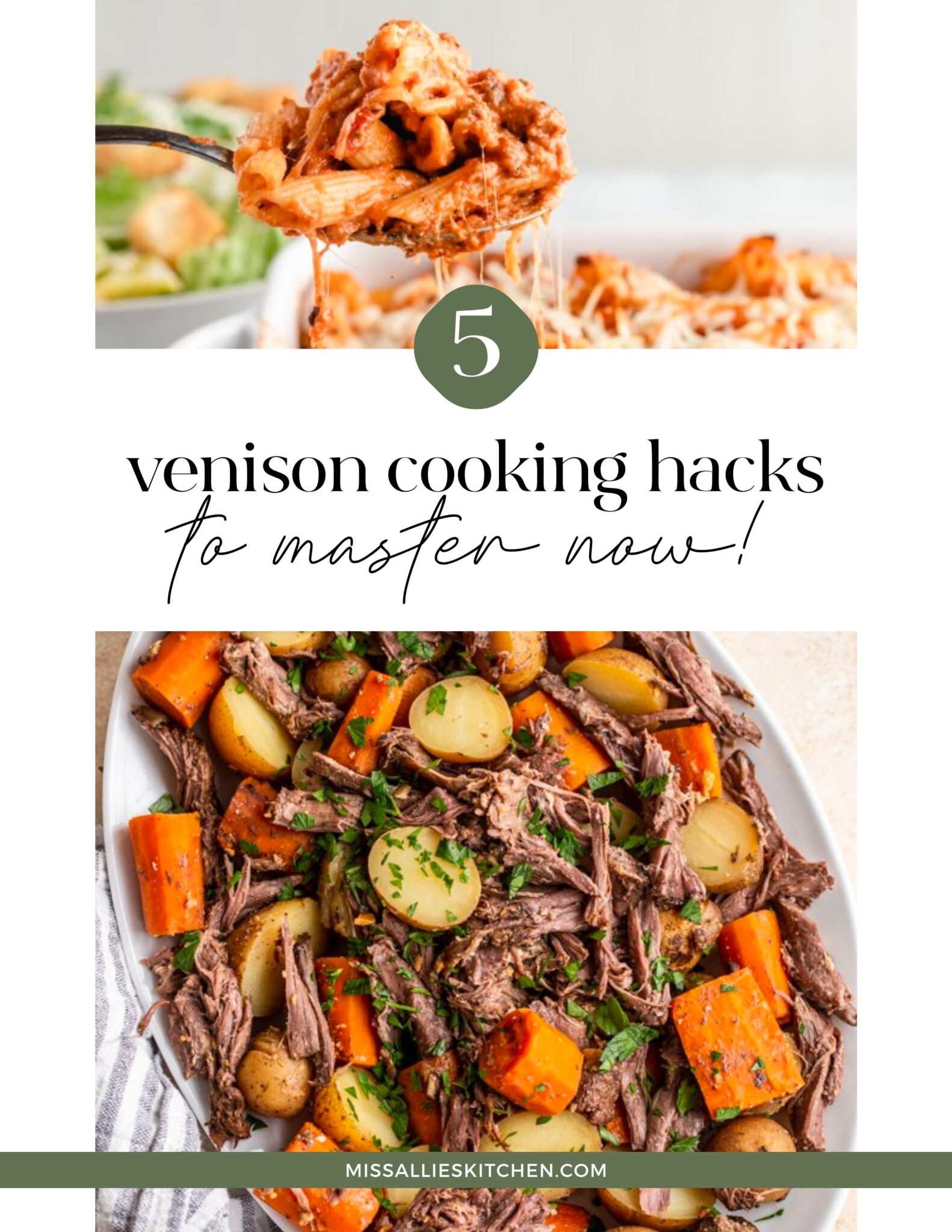 Venison Recipes | Venison Cookbook | Miss Allie's Kitchen